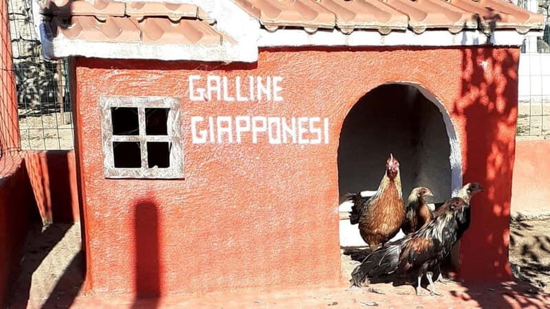 Burgos: visit to a farm with tasting - FAQ