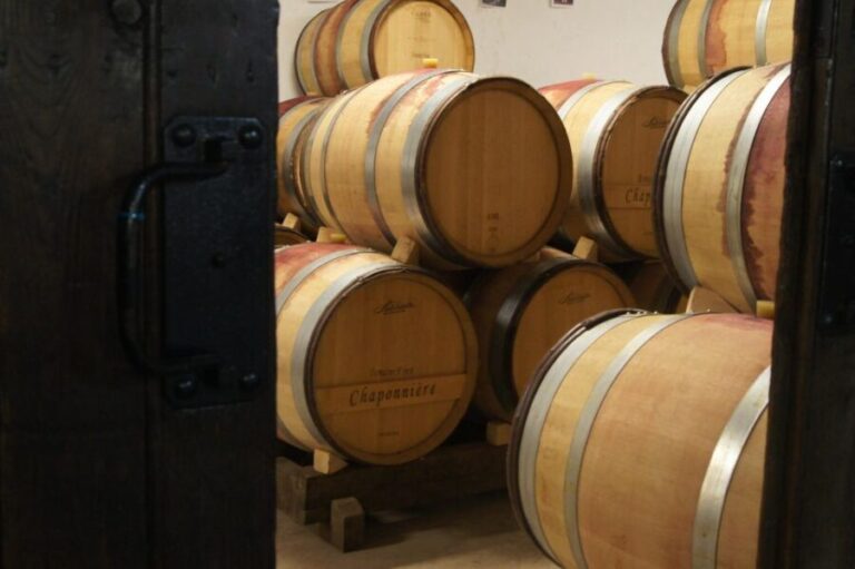 Burgundy: Guided Vineyard and Winery Tour with Wine Tasting - The Itinerary: What to Expect