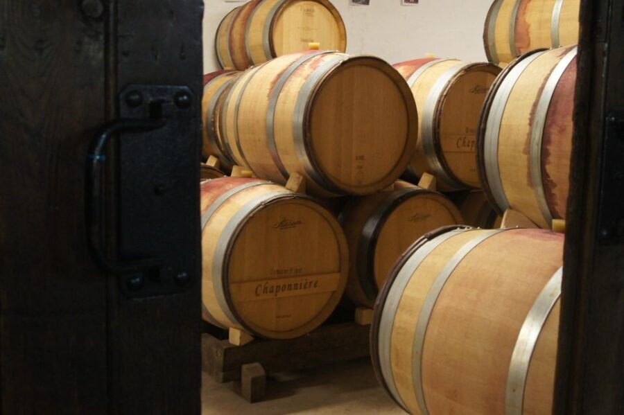 Burgundy: Guided Vineyard and Winery Tour with Wine Tasting - The Itinerary: What to Expect