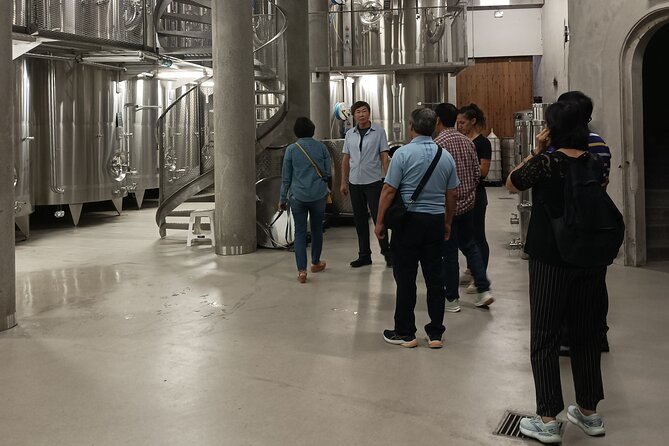 Burgundy wine tour - Private tour with professional tour guide ! - Key Points