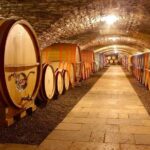 Burgundy wine trail from Beaune to Macon - An In-Depth Look at the Burgundy Wine Trail