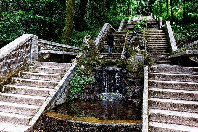 Bussaco Palace, Gardens & Forest - Transportation and Practical Details