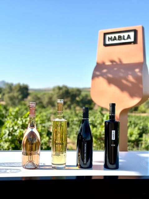 Cáceres: Bodegas Habla - Who Is This Tour Best For?