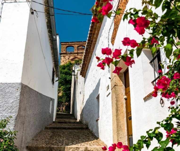 Caceres: City Highlights Private Guided Walking Tour - A Deep Dive into the Cáceres Tour Experience