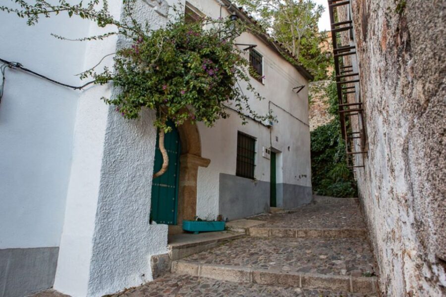 Caceres: Highlights, History and Jewish Quarter Walking Tour - Who Will Love This Tour?