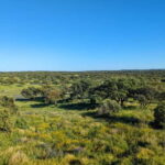 Cáceres: Monfrague Wildlife Full-Day Tour - Is It Worth the Price?
