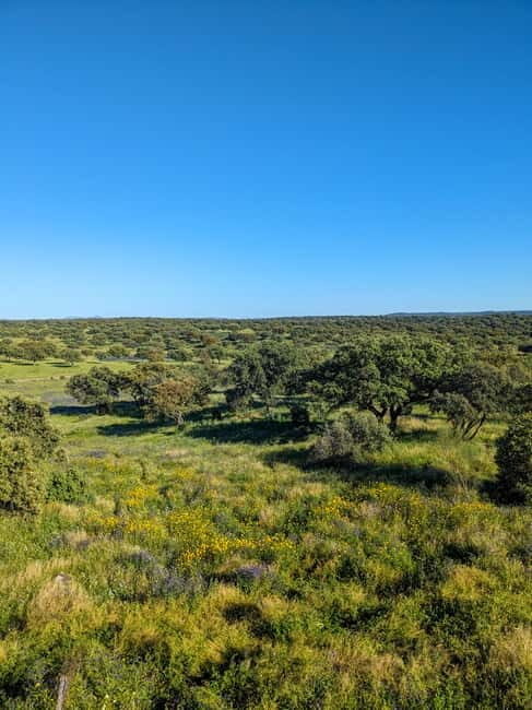 Cáceres: Monfrague Wildlife Full-Day Tour - Is It Worth the Price?