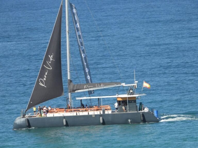 Cadiz: Bay of Cadiz Catamaran Tour with Host - The Reviews Do the Talking
