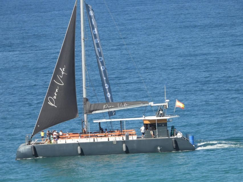 Cadiz: Bay of Cadiz Catamaran Tour with Host - The Reviews Do the Talking