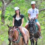 Cádiz Country side: Ride an Andalusian Horse - Practical Considerations