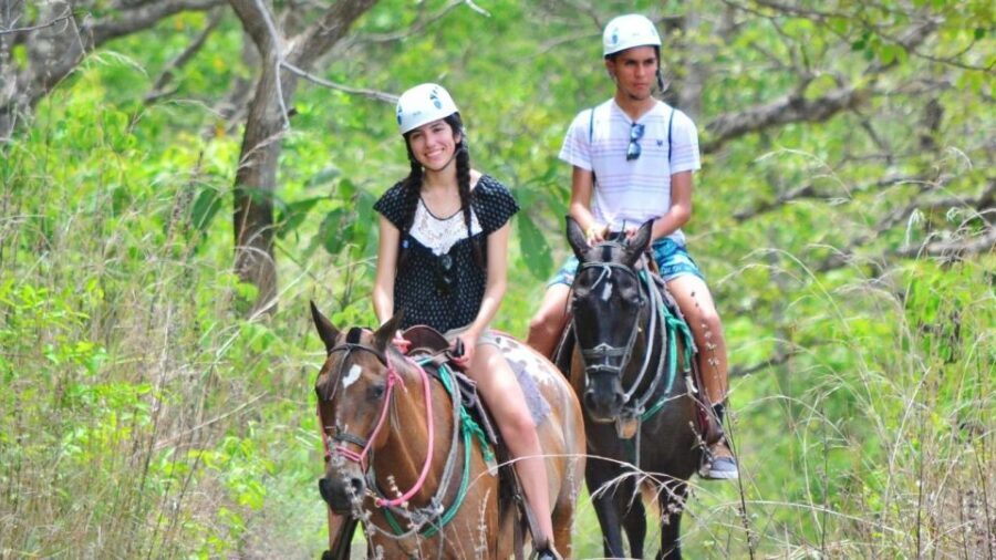 Cádiz Country side: Ride an Andalusian Horse - Practical Considerations