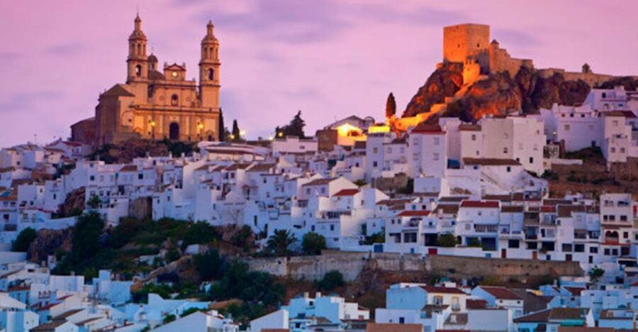 Cadiz, Jerez or El Puerto: White Towns of Andalusia Day Trip - The Journey and Logistics