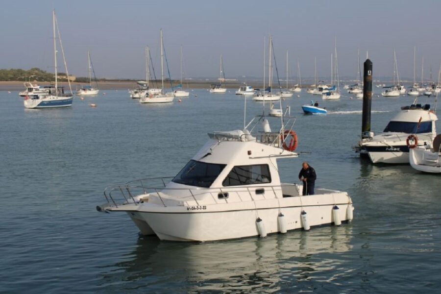 Cadiz: Private 2-Hour Catamaran Rental with Personal Captain - Detailed Breakdown of the Experience