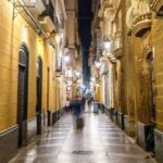 Cadiz: Private custom tour with a local guide - What to Expect from the Tour