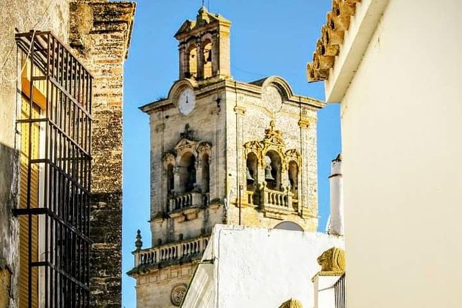 Cadiz Private Shore Excursion: The White Washed Villages & Trafalgar Cape - What Travelers Who Loved This Tour Said