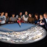 Cadiz To Indies Route and Tavira Tower - What Makes This Tour Stand Out