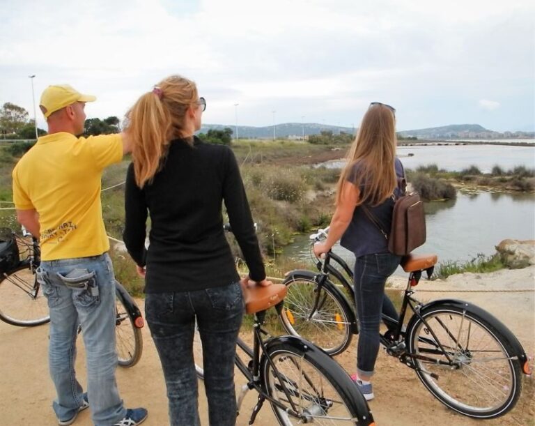 Cagliari: Bike Tour in the Flamingo Oasis - Who Will Love This Tour?