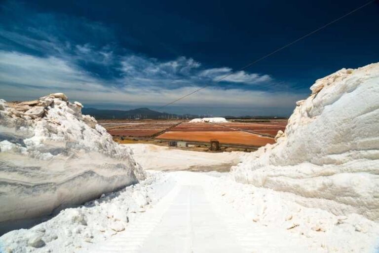Cagliari: Conti Vecchi Salt Flats Train and Tour - The Itinerary: What You Can Expect From Start to Finish