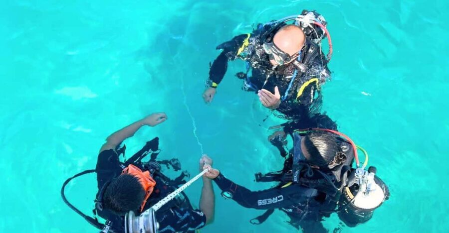 Cagliari: Discover scuba diving for Beginners - What We Think This Tour Offers