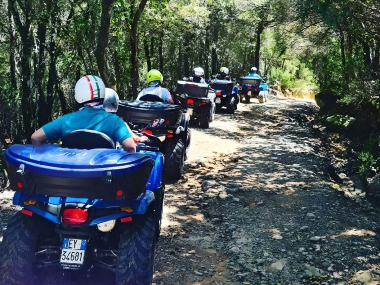 Cagliari: Nuraghe Adventure 3 hour Quad Tour from Domus - Why This Tour Might Be Perfect for You