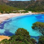 Cagliari: Private or Small Group Fishing Trip Experience - Is It Worth the Price?