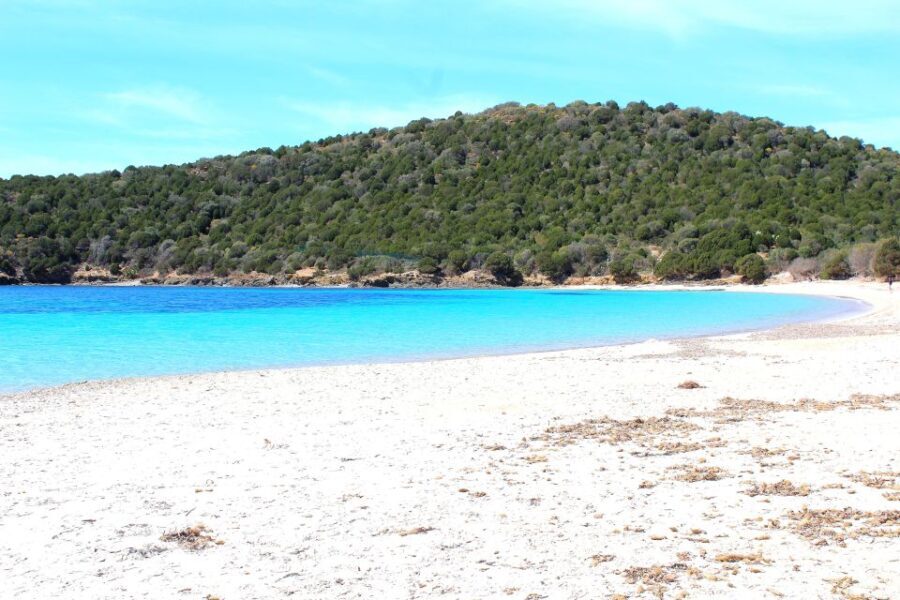 Cagliari Shore Excursion: Amazing Hidden Beaches Jeep Tour - The Scenic Drive and Guided Experience