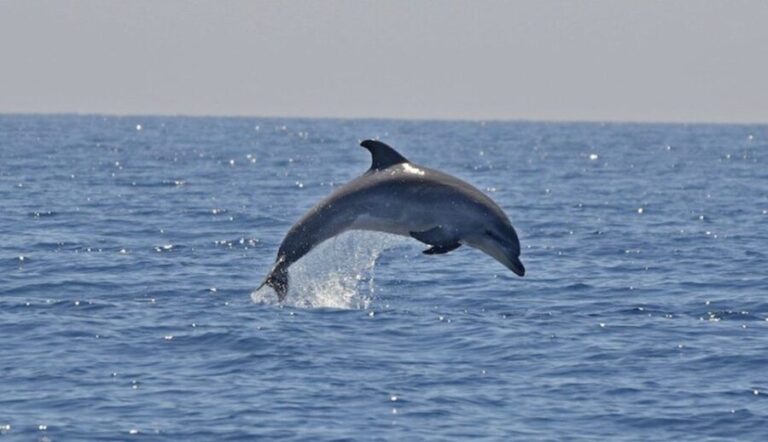 Cagliari: Southwest Chia and Teulada Private Boat Tour - An In-Depth Look at the Experience