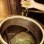 Cagliari: visit a craft brewery - Dive into the Heart of Sardinian Brewing