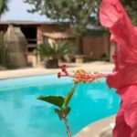 Cagliari: Workshop di pasta fresca tradizionale sarda - Authentic Sardinian Cuisine and Tastings