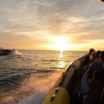 Cala d'Orzu Sunset, Cacoa and Snorkeling - Who Will Enjoy This Tour?