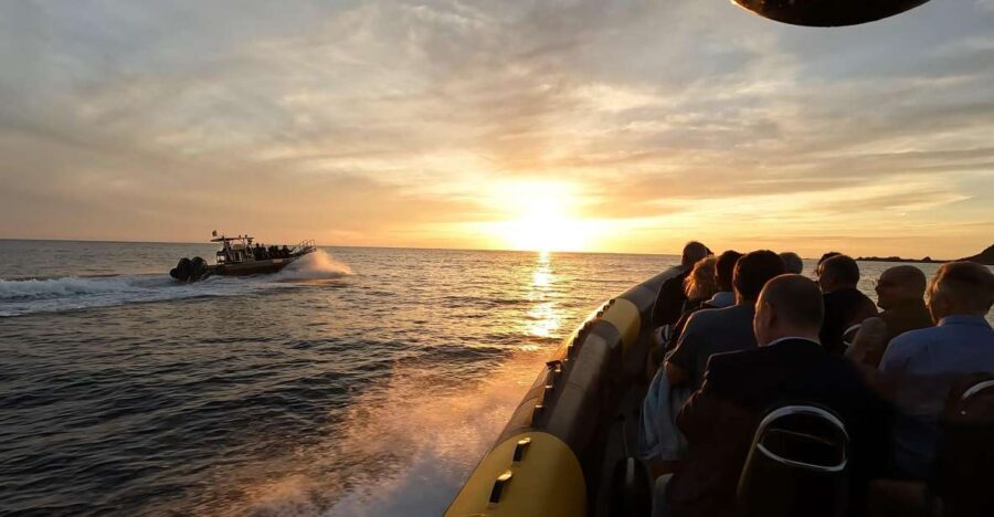 Cala d'Orzu Sunset, Cacoa and Snorkeling - Who Will Enjoy This Tour?
