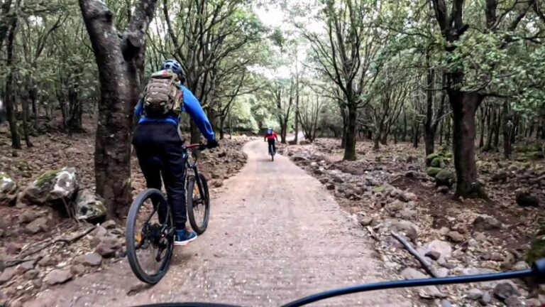 Cala Gonone and Dorgali e-bike tour - What Makes This Tour Stand Out?