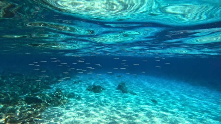 Cala Gonone: Snorkeling in the Orosei Gulf - Why This Tour Is a Great Choice