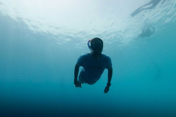 Cala Gonone Snorkeling in the Orosei Gulf - Sardinia’s Hidden Underwater Gems: Cala Gonone Snorkeling in the Orosei Gulf