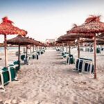 Cala Ratjada: Magical Creatures of Cala Ratjada, family walk - Authentic Feedback and Insights