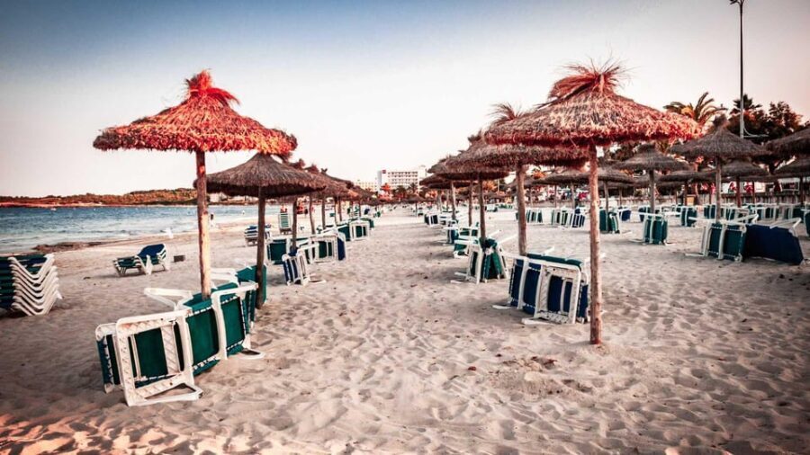 Cala Ratjada: Magical Creatures of Cala Ratjada, family walk - Authentic Feedback and Insights