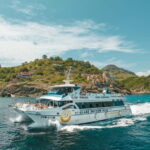 Cala San Vicente: Cruise on the Northern Range of Mallorca. - Why This Trip Offers Good Value
