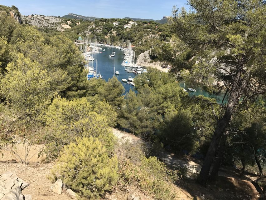 Calanques National Park: E-Mountain Bike with Virtual Guide - What the Reviews Say