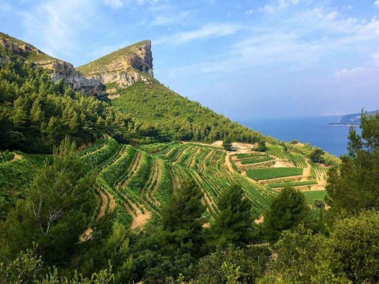 Calanques Of Cassis, the Village and Wine Tasting - The Village of Cassis: A Picturesque and Authentic Stop