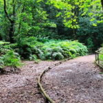 Caldeirão Verde: Queimadas PR9 Transfer and Self-Guided Hike - The Self-Guided Hike: What to Expect