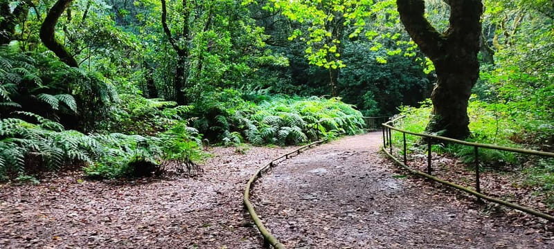 Caldeirão Verde: Queimadas PR9 Transfer and Self-Guided Hike - The Self-Guided Hike: What to Expect