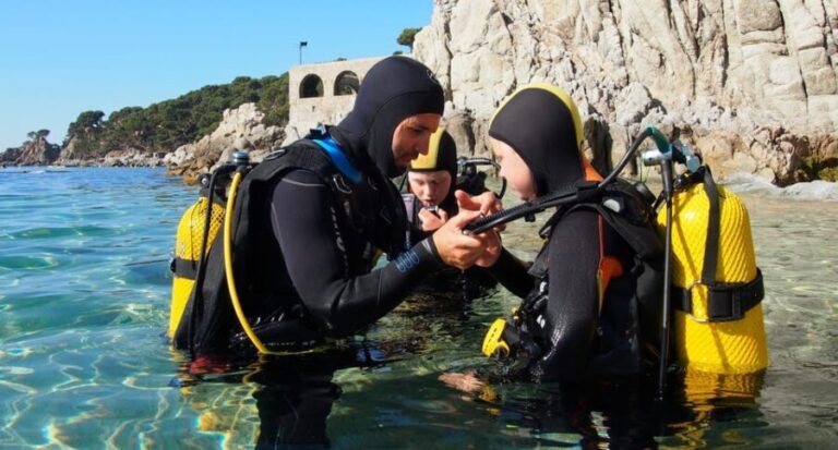 Calella de Palafrugell : Discover Scuba Diving Experience - What to Expect When You Book