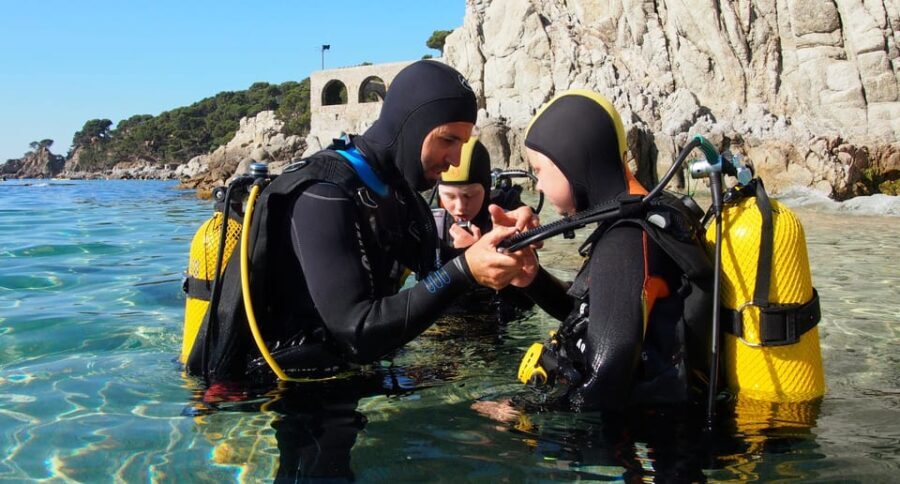 Calella de Palafrugell : Discover Scuba Diving Experience - What to Expect When You Book