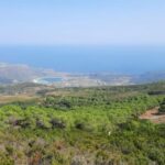 calice in cratere - What Makes This Tour Special?