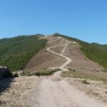 Calvi: Asco Valley 4x4 Day Tour with Guide - Authentic Reviews and Real Traveler Impressions