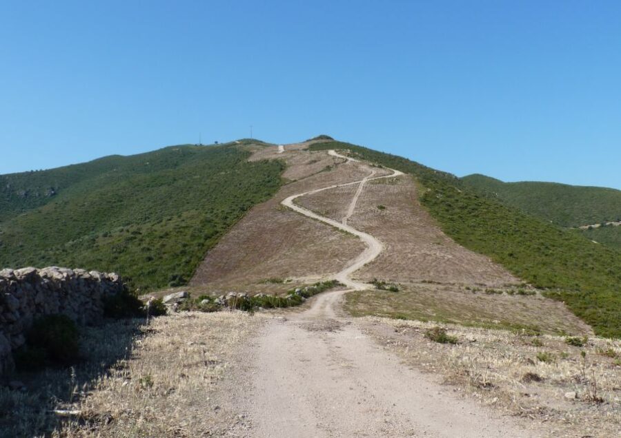 Calvi: Asco Valley 4x4 Day Tour with Guide - Authentic Reviews and Real Traveler Impressions