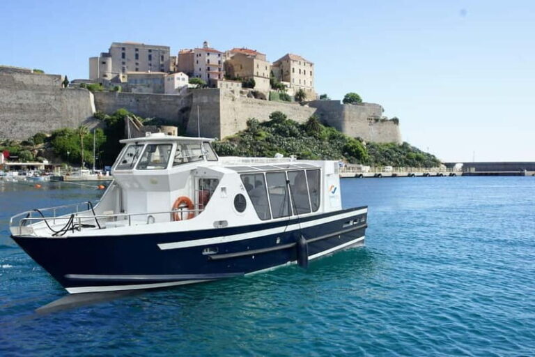 Calvi: guided tour by speedboat to Scandola - Final Thoughts: Is This Tour Right for You?