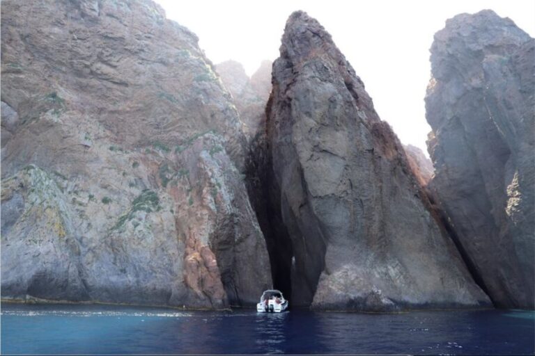 Calvi to Scandola: 4-Hour Boat Tour - A Deep Dive into the Experience