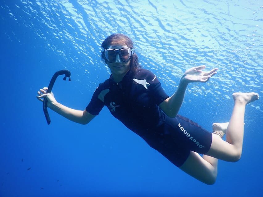 Calvi: Try Dive In The Calvi Bay - The Value of a Short, Well-Rounded Experience