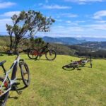Camacha: Levada Trail e-Bike Guided Tour - Key Points